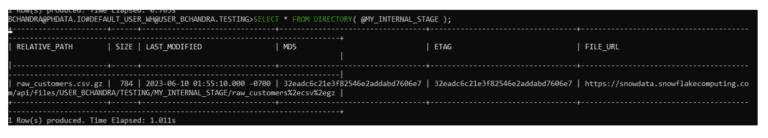 External & Directory Tables in Snowflake 101 | phData